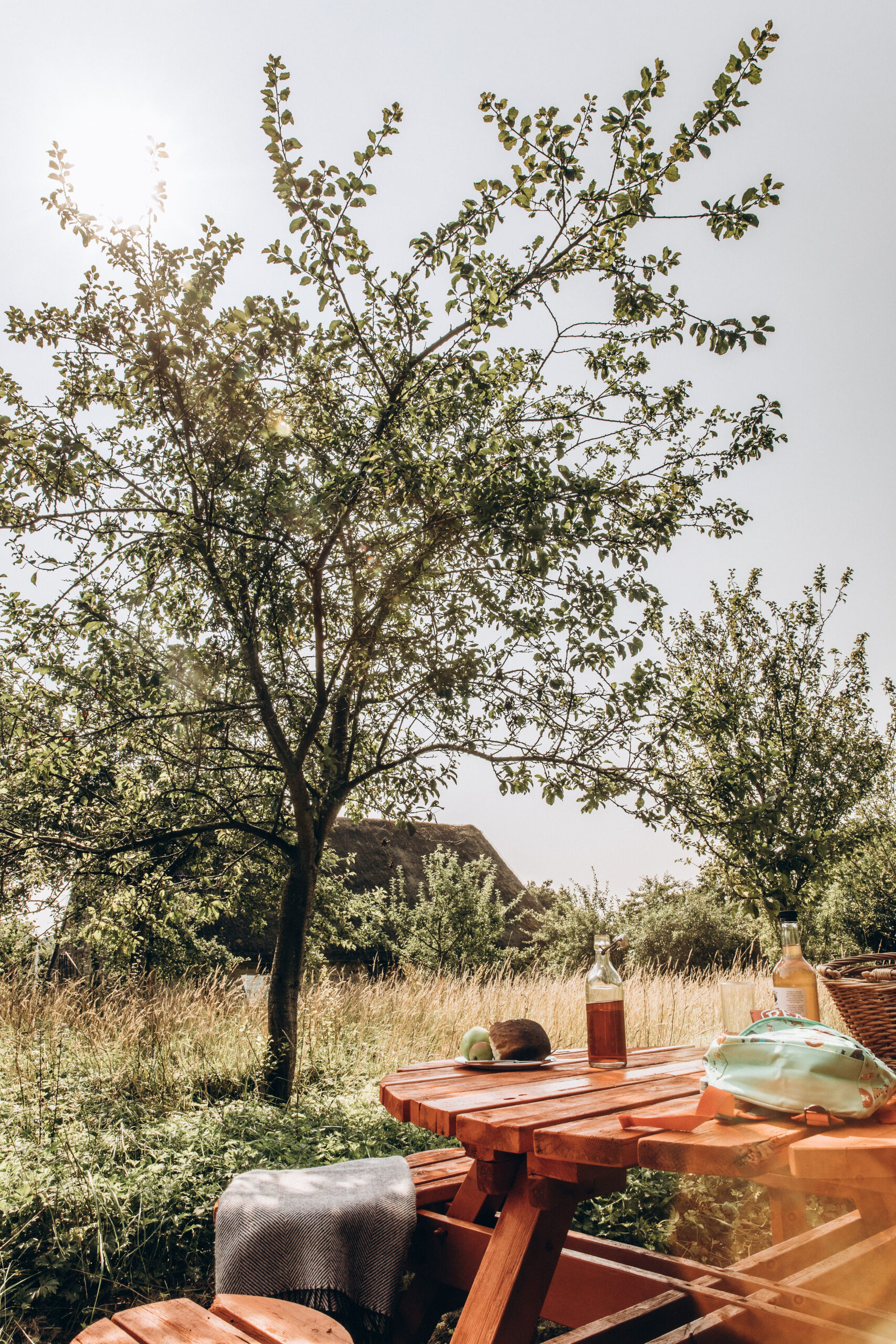 Meet the animals - Ryedale Folk Museum