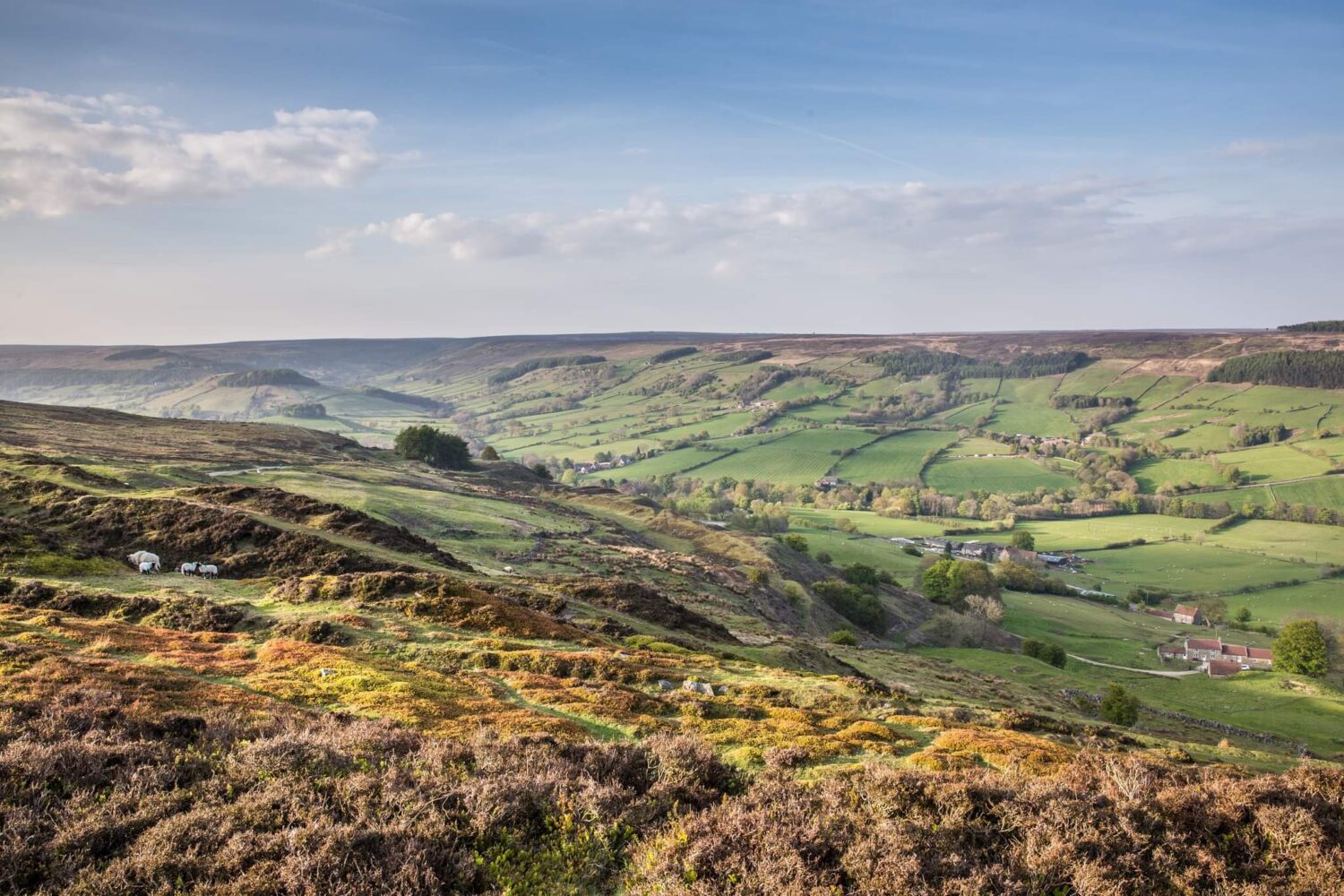Raymond Hayes and the Rosedale Glassmakers - Ryedale Folk Museum